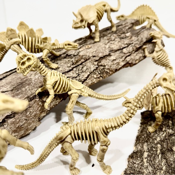 Toys | 1pc Assorted Dinosaur Fossil Skeleton Figurines Ancient History ...